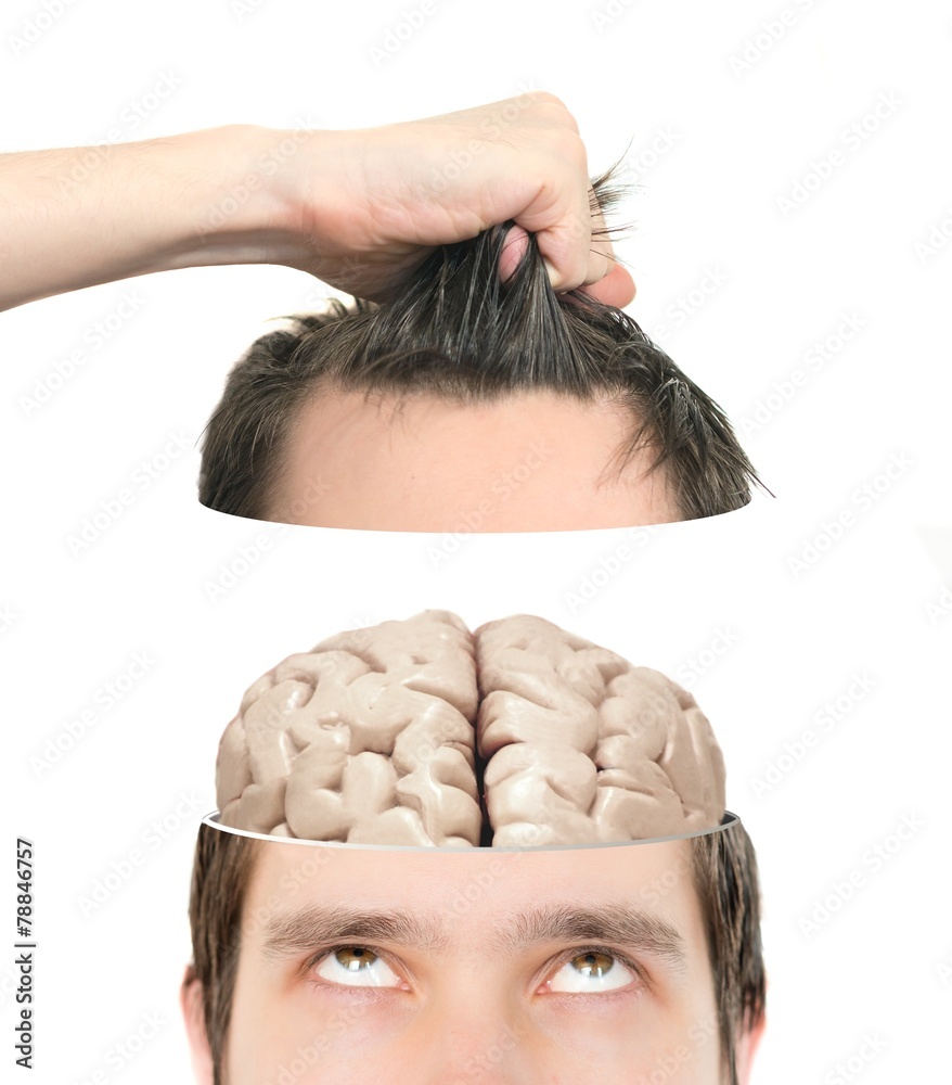 Hand elevates half of a sliced head with brain inside Stock Photo ...