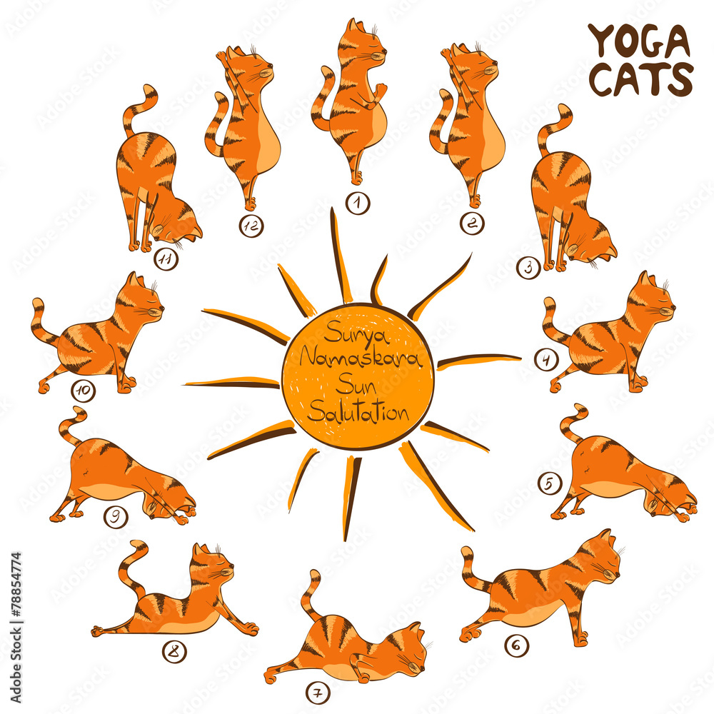 Cat doing yoga position of Surya Namaskara Stock Vector | Adobe Stock