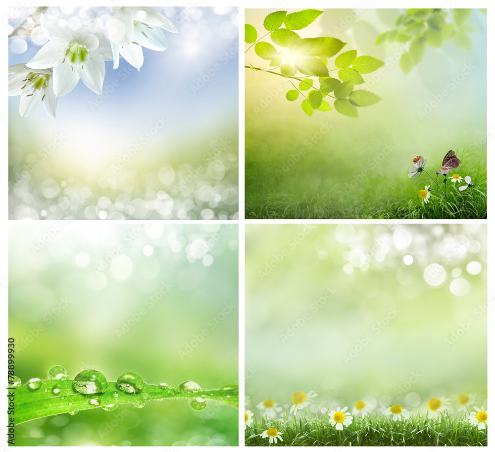 spring backgrounds Stock Photo | Adobe Stock