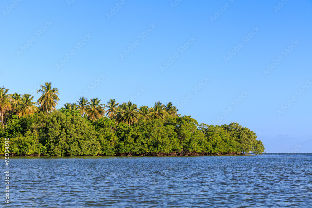 Boipeba - Plage de Castelhanos - Mangrove Stock Photo | Adobe Stock