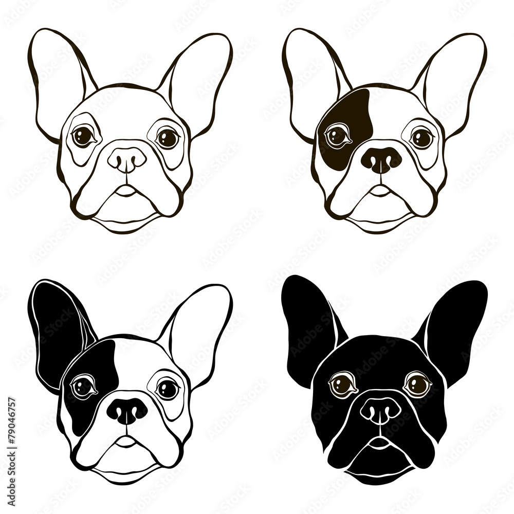 French Bulldog. Vector set of bulldog's face. Hand-drawn vector Stock ...