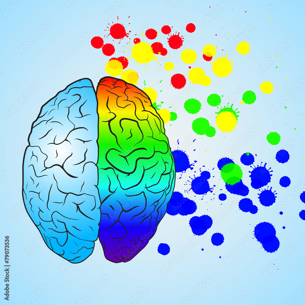 Colored left brain and right brain. Concept. Stock Vector | Adobe Stock
