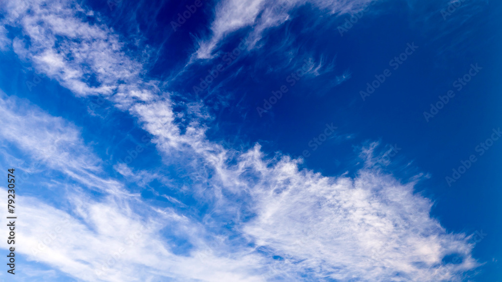 White on blue Stock Photo | Adobe Stock