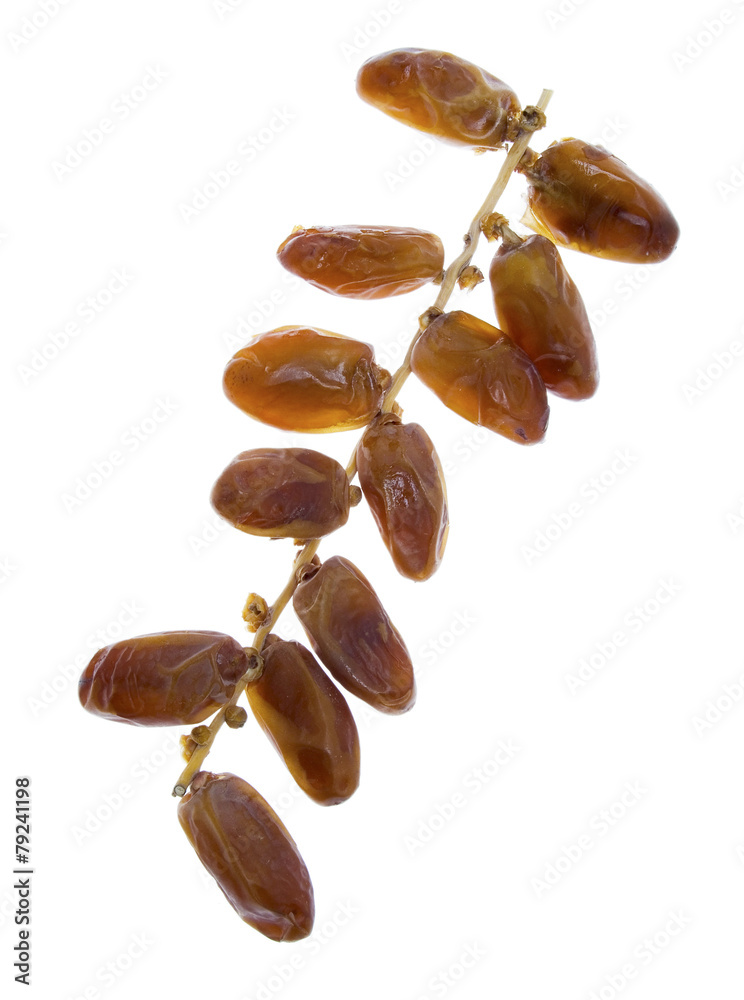 Datteln am Zweig Stock Photo | Adobe Stock