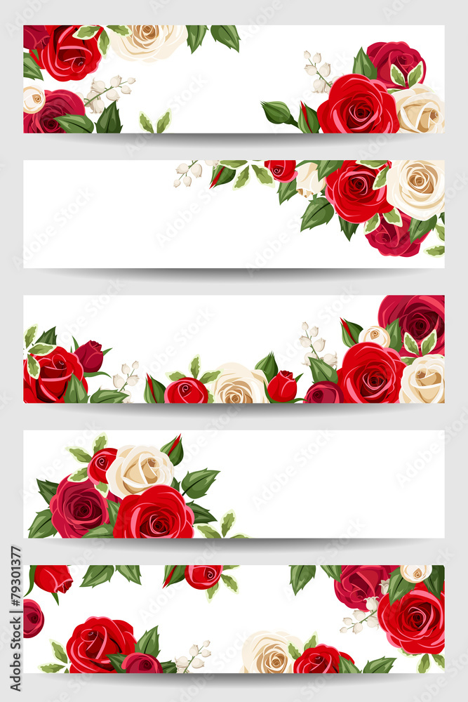 Vector banners with red and white roses. Stock Vector | Adobe Stock