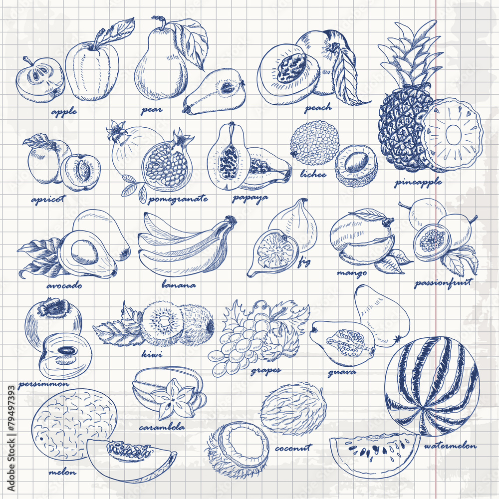 Vector hand drawing sketch illustration of fruits Stock Vector | Adobe ...