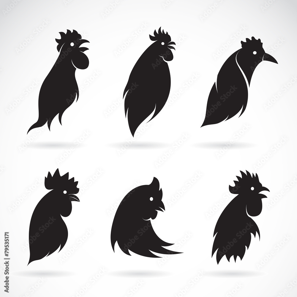 Vector image of an chicken head on white background Stock Vector ...