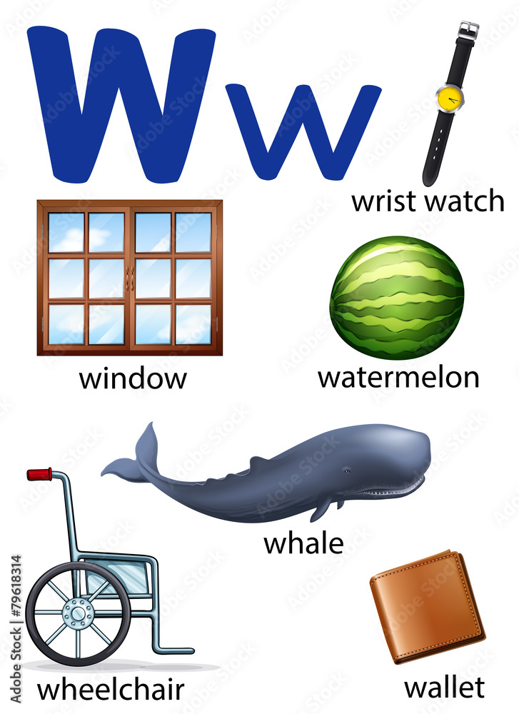 Things that start with the letter W Stock Vector | Adobe Stock