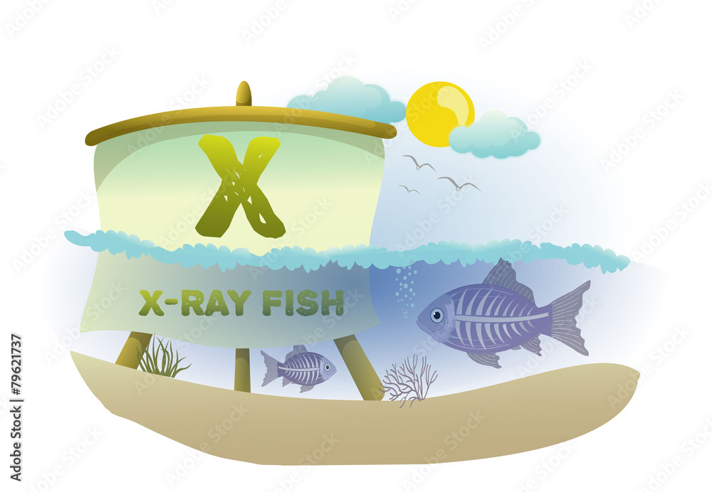 Funny Cartoon Alphabet X With X-ray fish Stock Vector | Adobe Stock