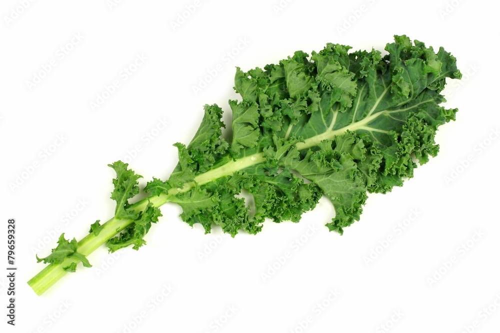 Single Kale Leaf