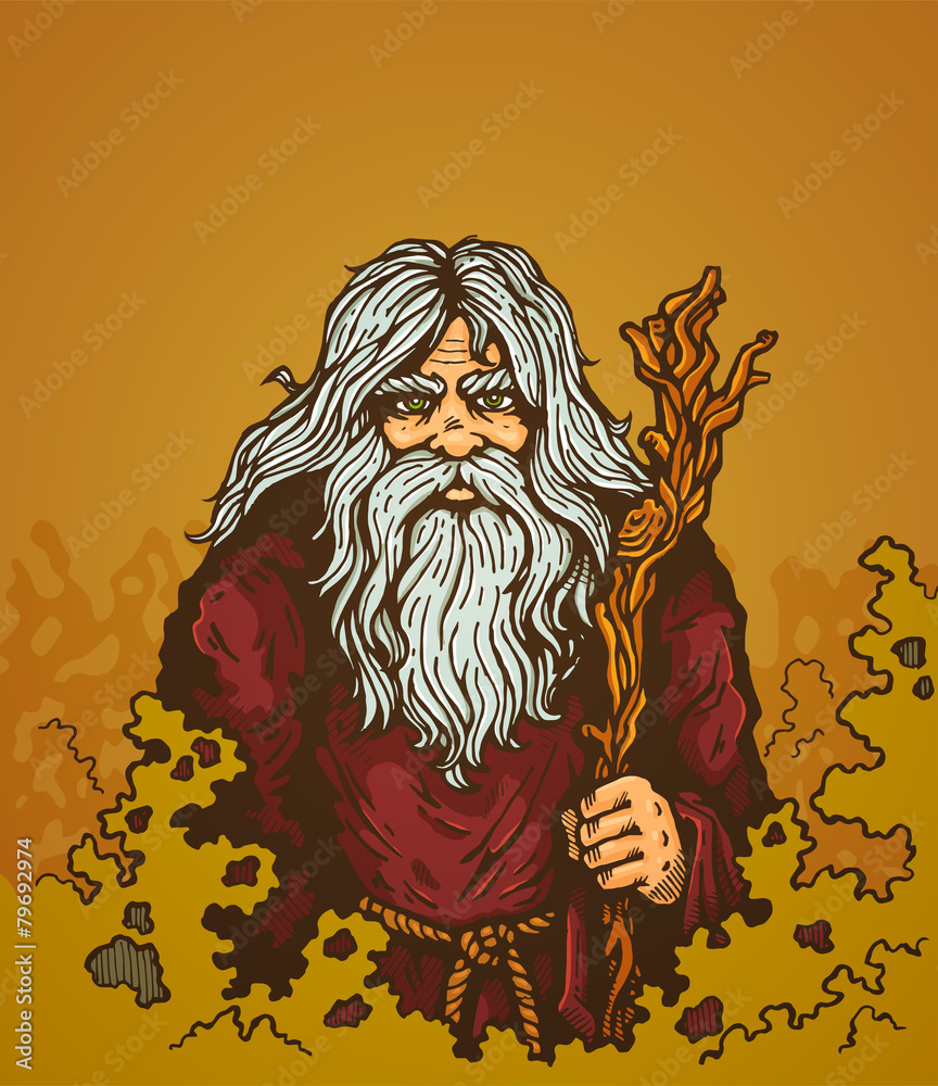 old sorcerer Stock Vector | Adobe Stock