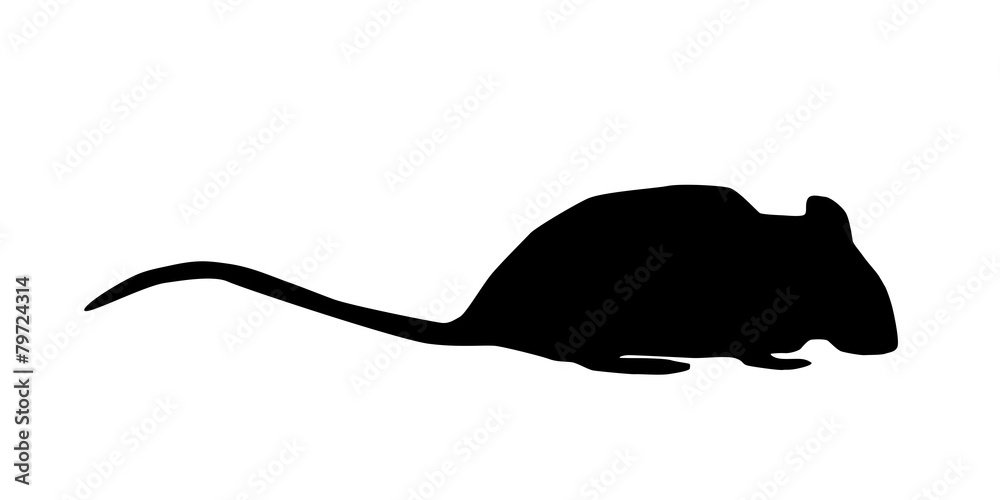 Vecteur Stock Ratte Silhouette | Adobe Stock