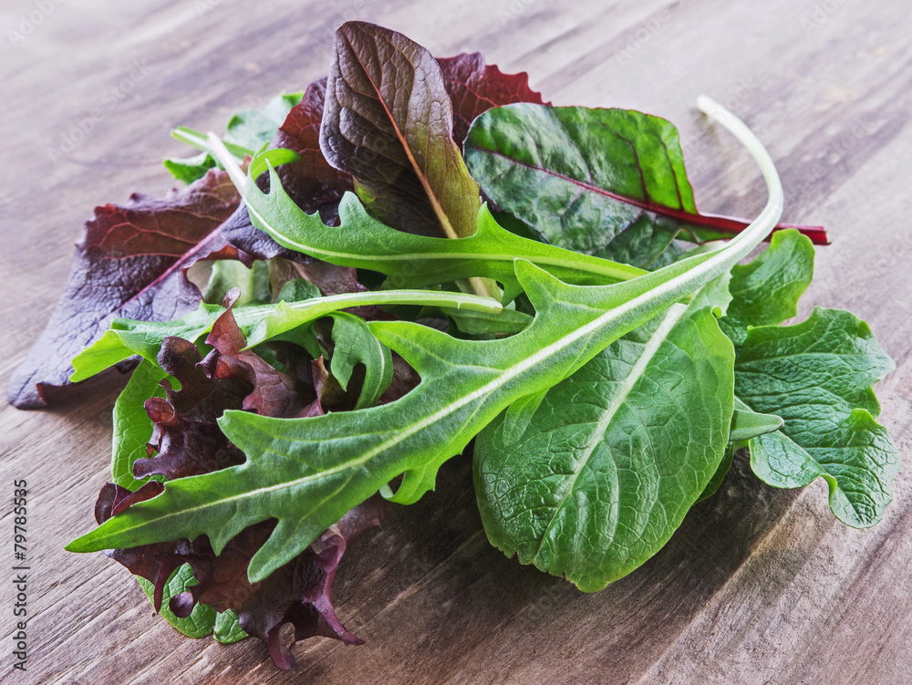 Salatblätter Stock Photo | Adobe Stock