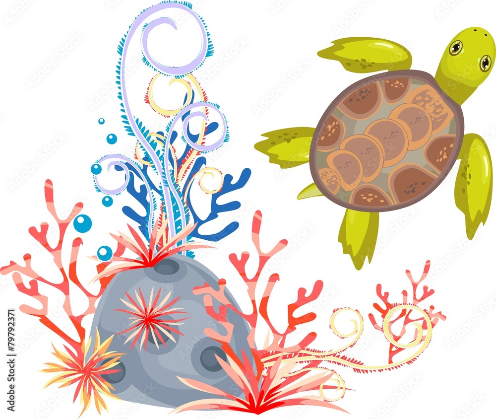 Sea turtle and coral reef Stock Vector | Adobe Stock