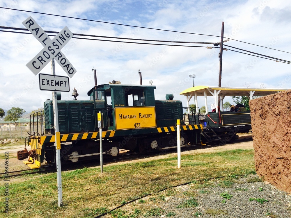 Riding the old Sugar Cane Train in Oahu, Hawaii Stock Photo | Adobe Stock
