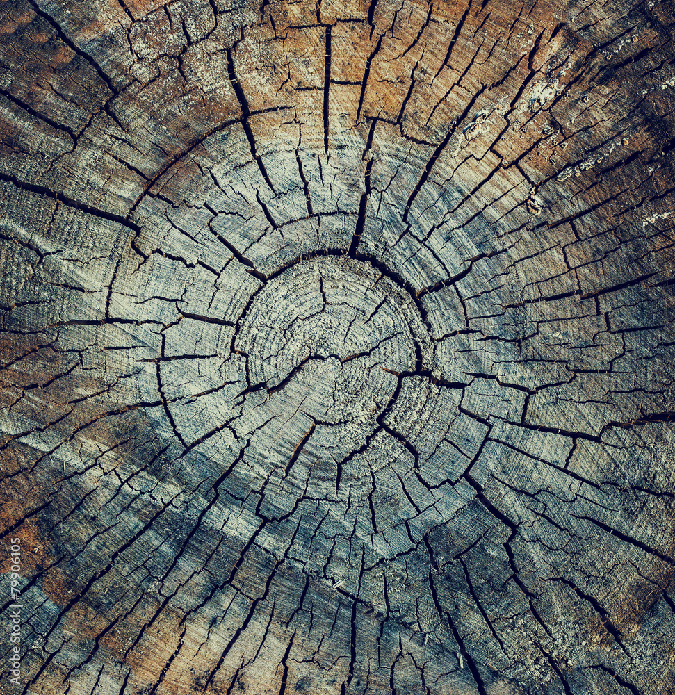 crack wood texture Stock Photo | Adobe Stock