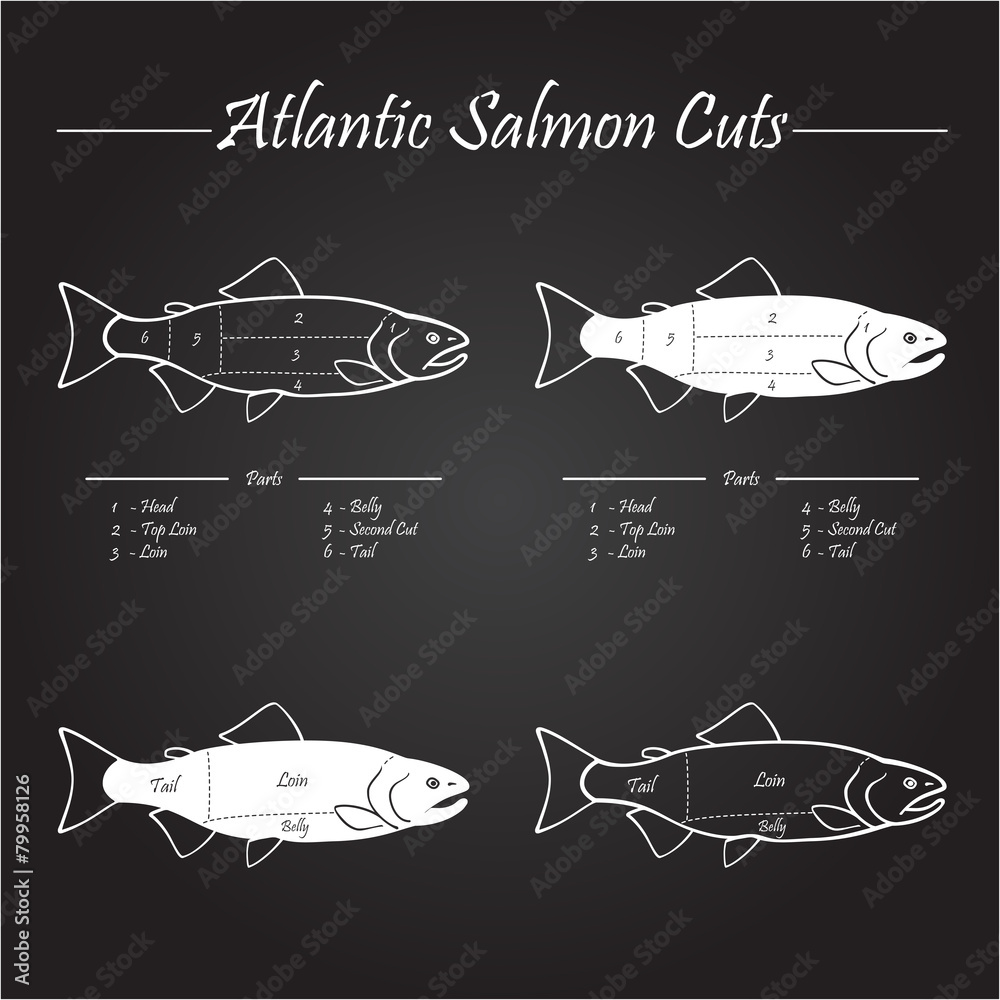 Atlantic salmon cuts diagram, chalkboard Stock Vector | Adobe Stock