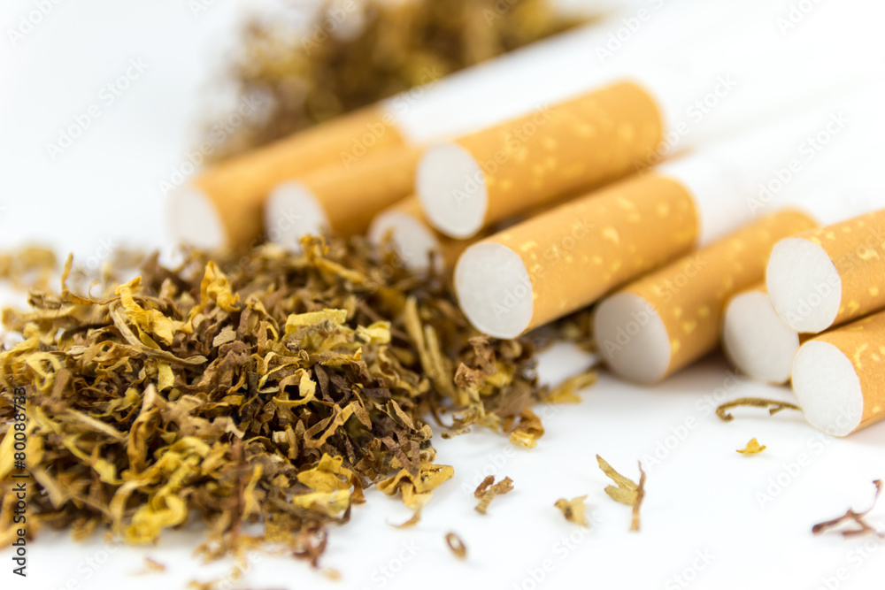 zigaretten mit tabak Stock-Foto | Adobe Stock