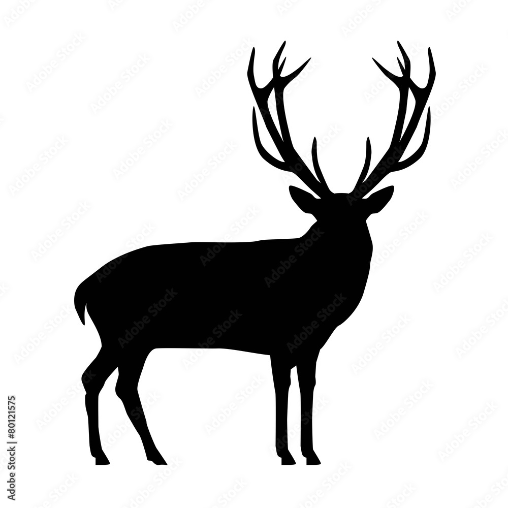 Hirsch Silhouette Stock-Vektorgrafik | Adobe Stock