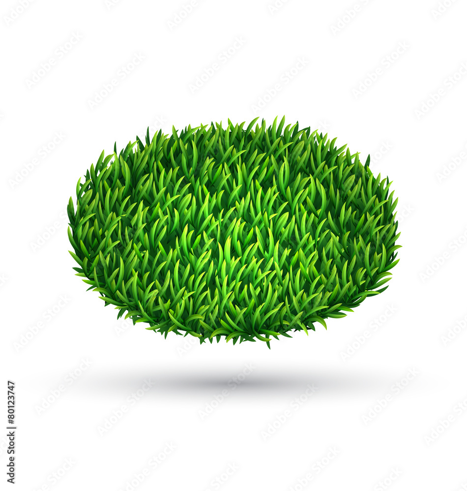 Green grass oval with shadow isolated on white background Stock Vector ...