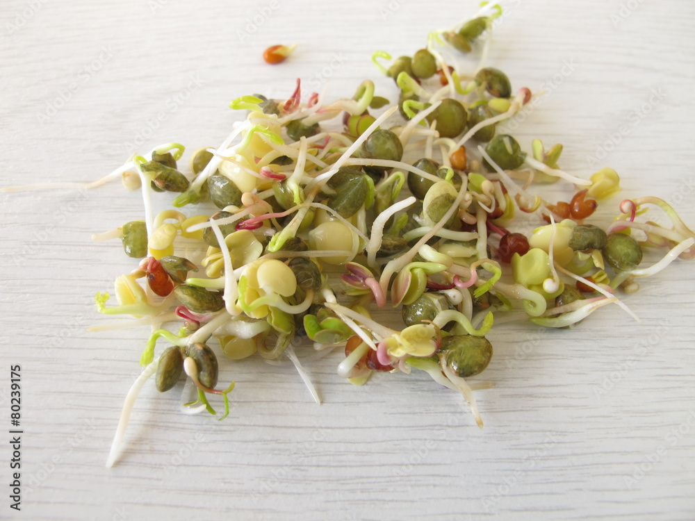 Sprossen aus Linsen, Rettich, Quinoa Stock Photo | Adobe Stock