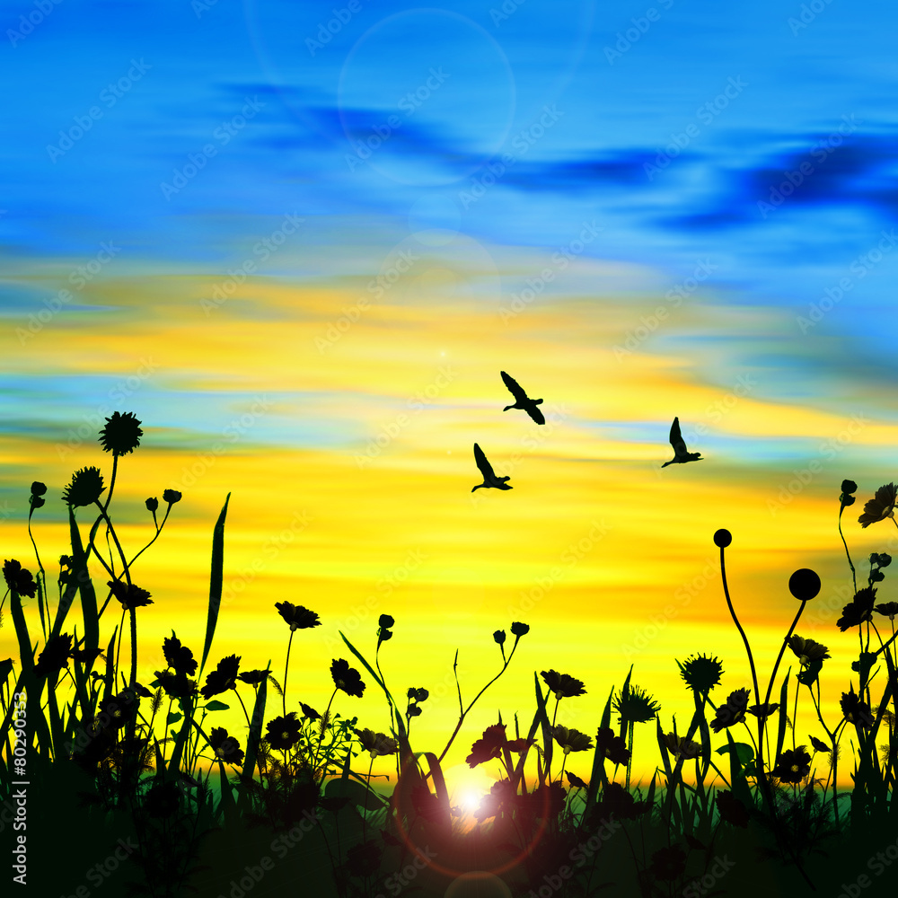 Beautiful landscape with birds Stock Illustration | Adobe Stock