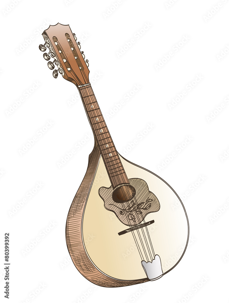 Mandolin Drawing