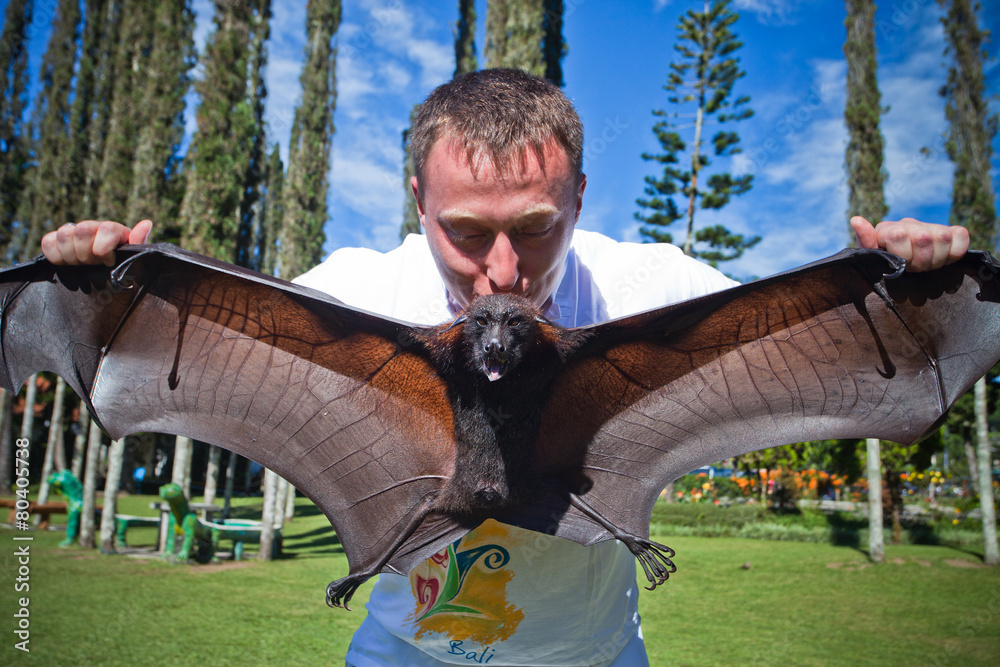 man holding on a hand flying fox Stock Photo | Adobe Stock