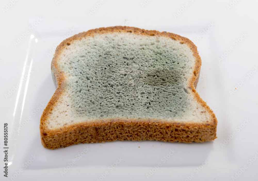Mold growing rapidly on moldy bread in green and white spores foto de ...