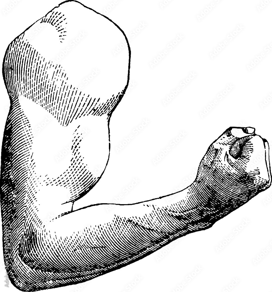 Vintage graphic muscle biceps Stock Illustration | Adobe Stock