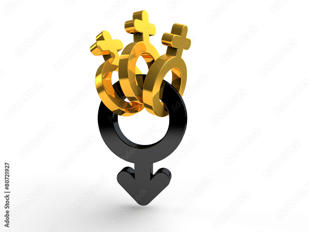 Polygyny Stock-Illustration | Adobe Stock