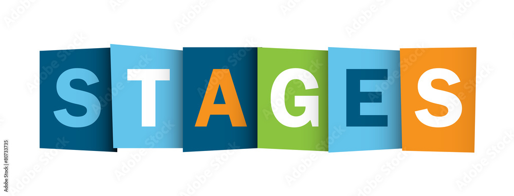 Icône STAGES (CV emploi continue professionnelle) Stock Vector | Adobe ...