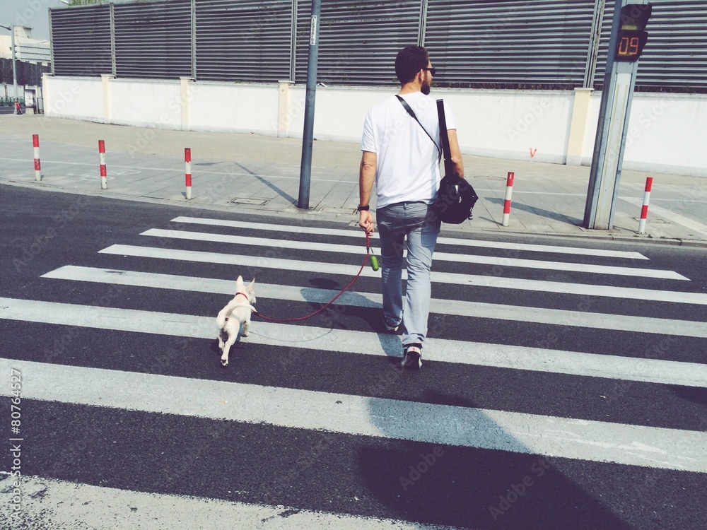 man with him dog crossing street Stock Photo | Adobe Stock