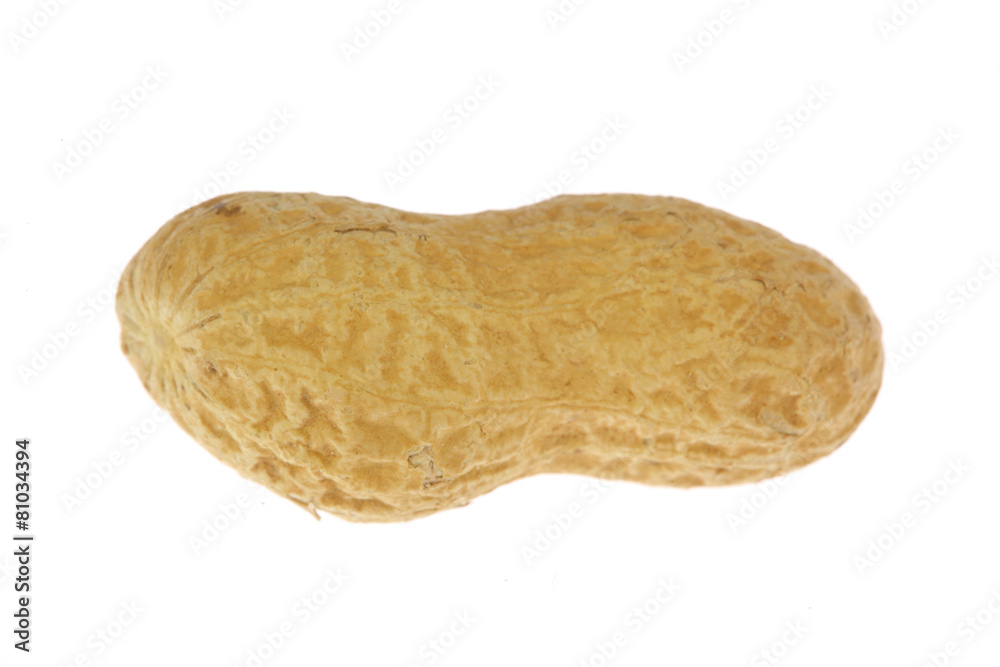 Orzech ziemny Stock Photo | Adobe Stock