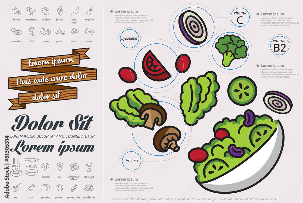Infographic House Salad Stock Vector | Adobe Stock