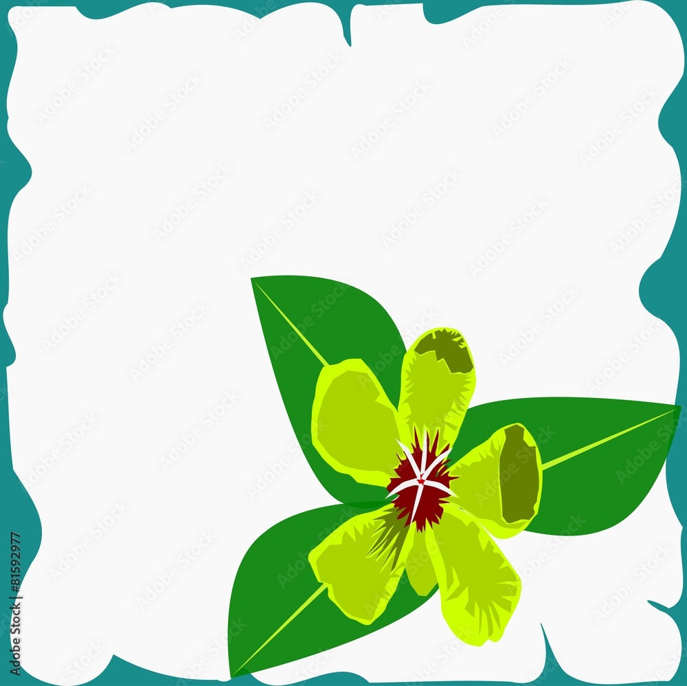 Simpor flower, National flower of Brunei is Simpor flowers Stock Vector ...