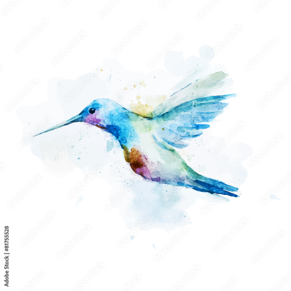 Watercolor colibri bird wall mural wallpaper | Muraledesign.com