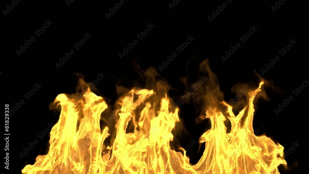 Realistic Fire with alpha matte. Stock Video | Adobe Stock