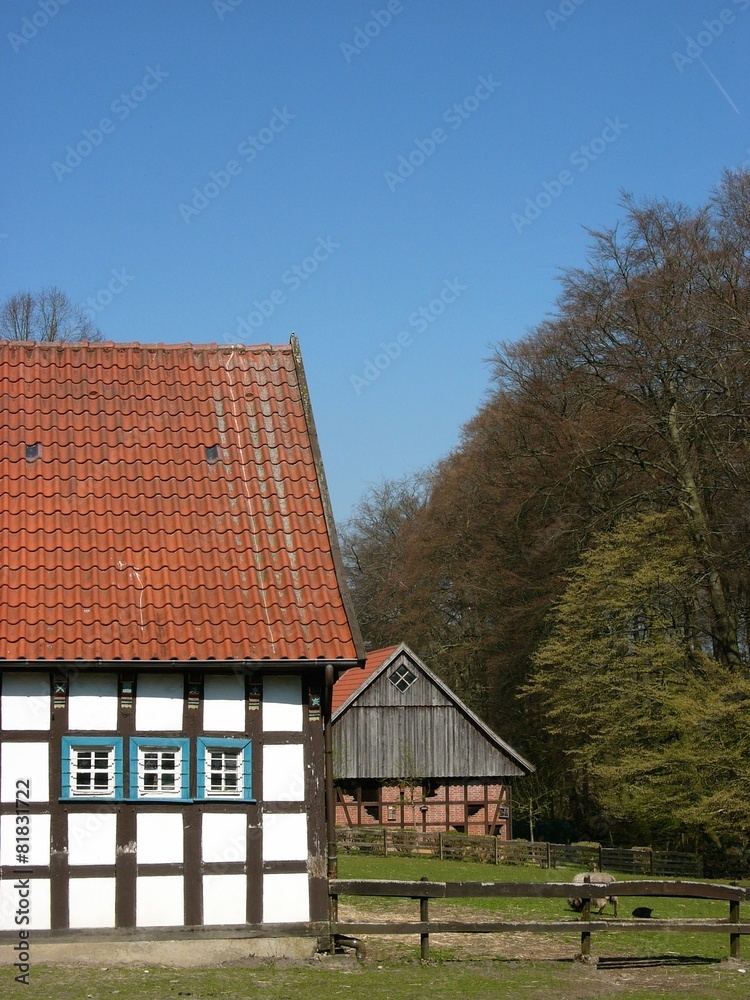 Stall und Scheune mit schönem Fachwerk am Meierhof bei blauem Himmel ...