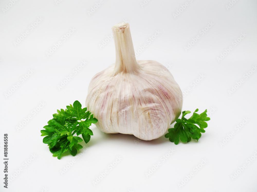 czosnek z pietruszką Stock Photo | Adobe Stock
