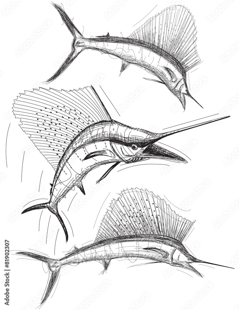 Sailfish sketches Stock Vector | Adobe Stock
