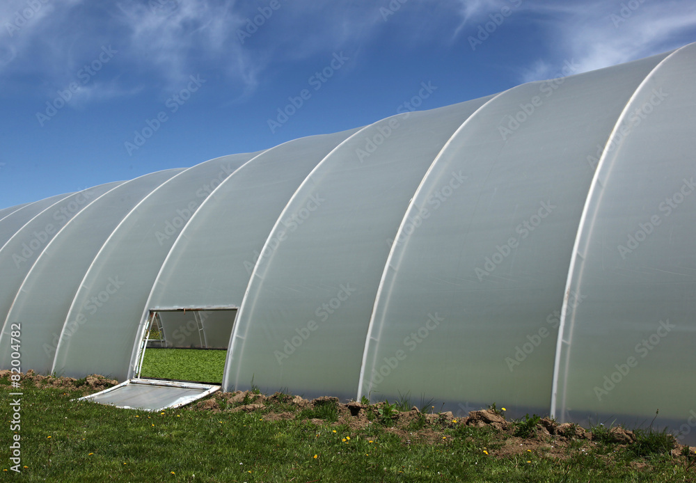 Plastic tunnel greenhouse polytunnel with young plants inside Stock ...
