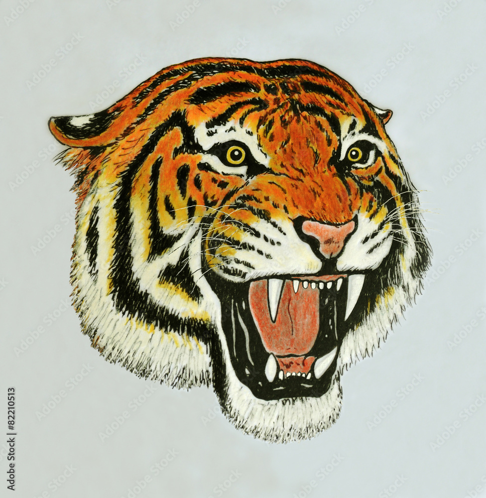 tiger face drawing Stock Illustration | Adobe Stock