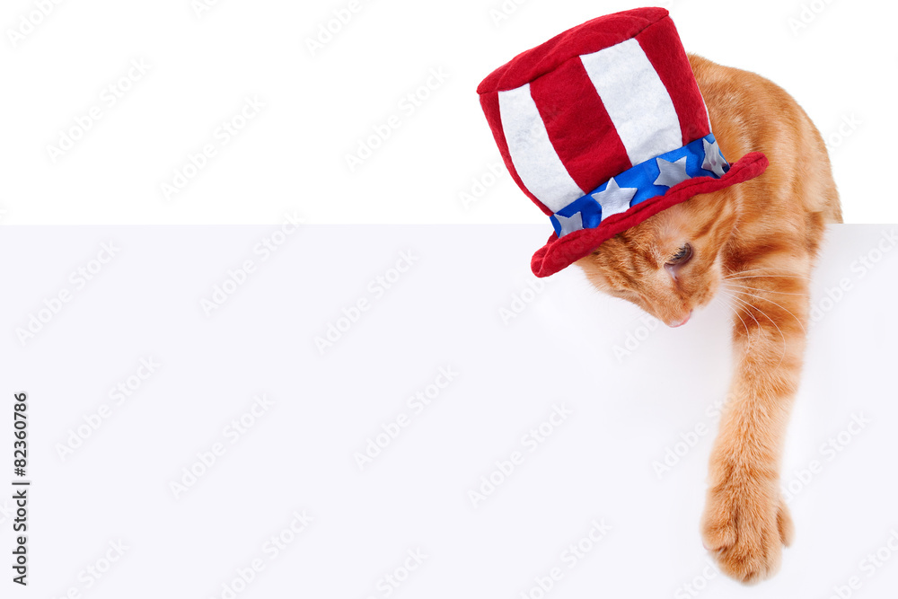 Patriotic Cats