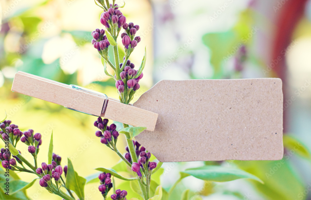 nature greeting card background Stock Photo | Adobe Stock