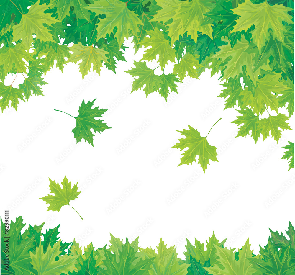 Vector green maple tree leaves border. Stock Vector | Adobe Stock