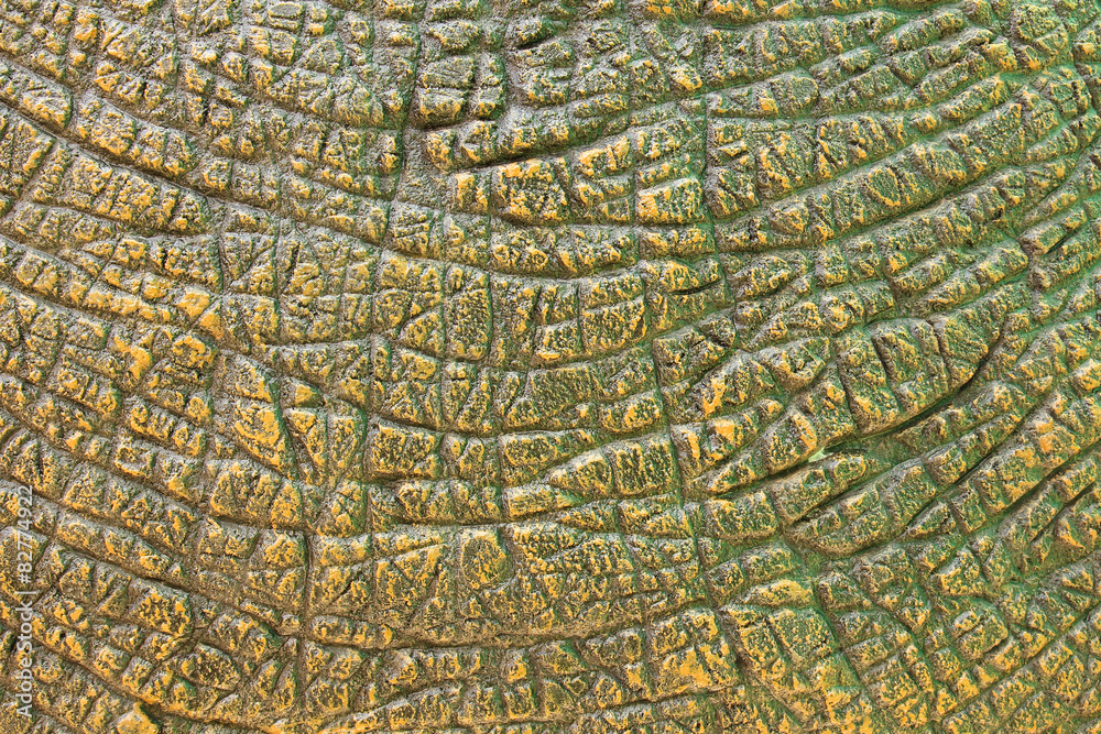 Dinosaur Skin Texture Stock Photo | Adobe Stock