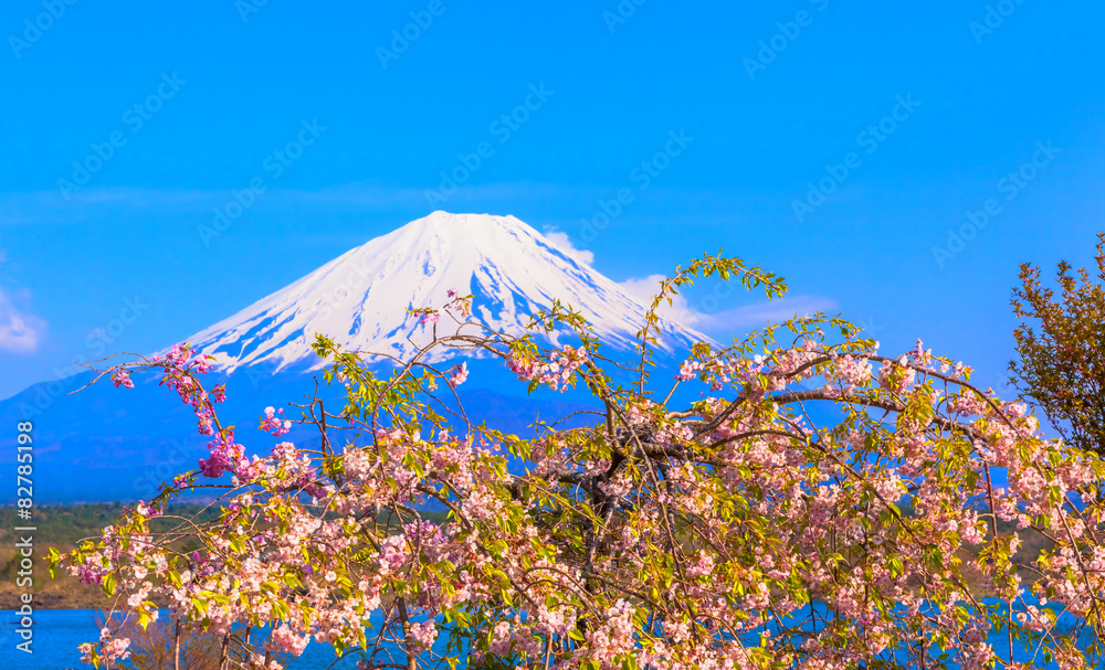 Green forest and Mount Fuji under the blue sky Stock Photo | Adobe Stock