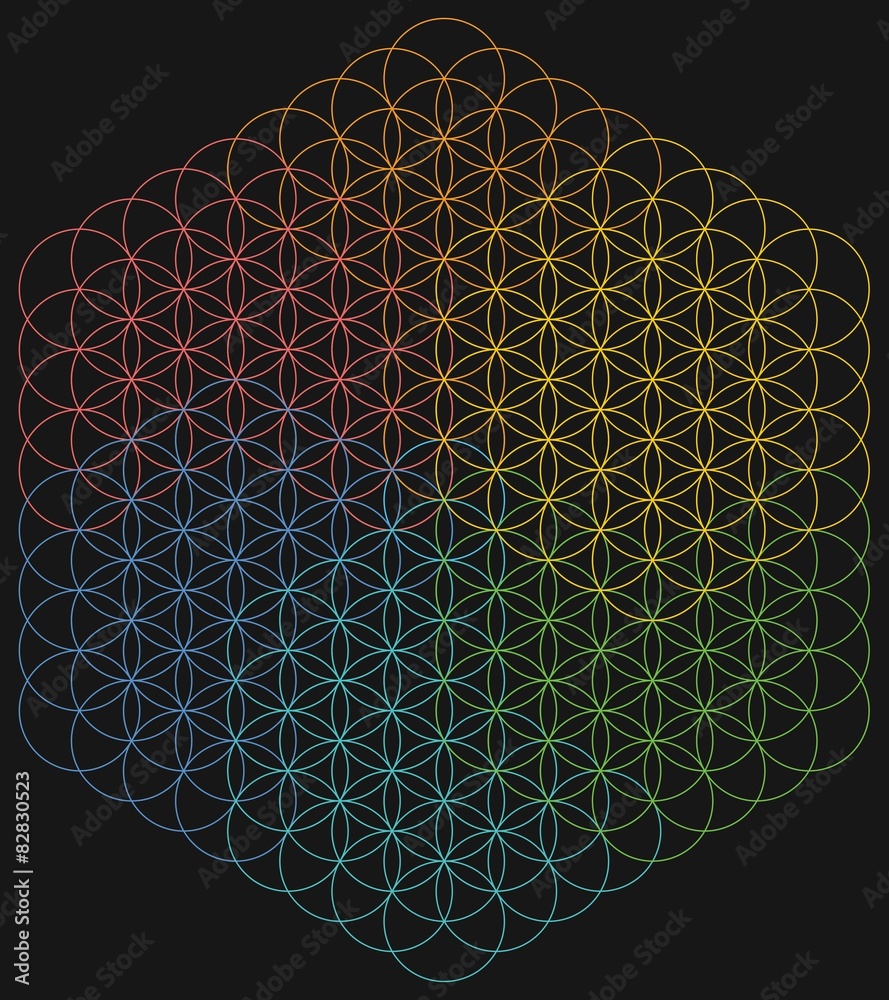 flower of life Stock Vector | Adobe Stock