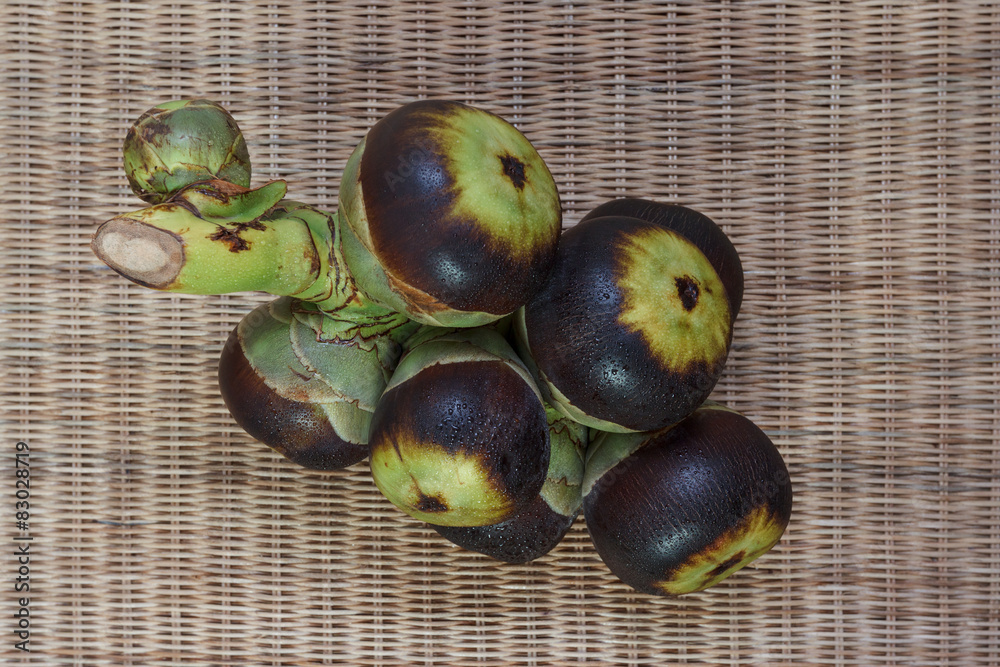 Asian Palmyra palm, Toddy palm, Sugar palm and Cambodian palm Stock ...